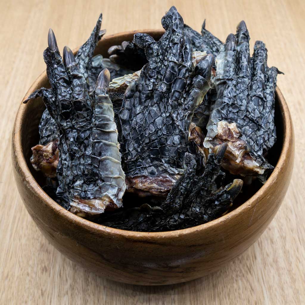 Crocodile Feet – Give Paws